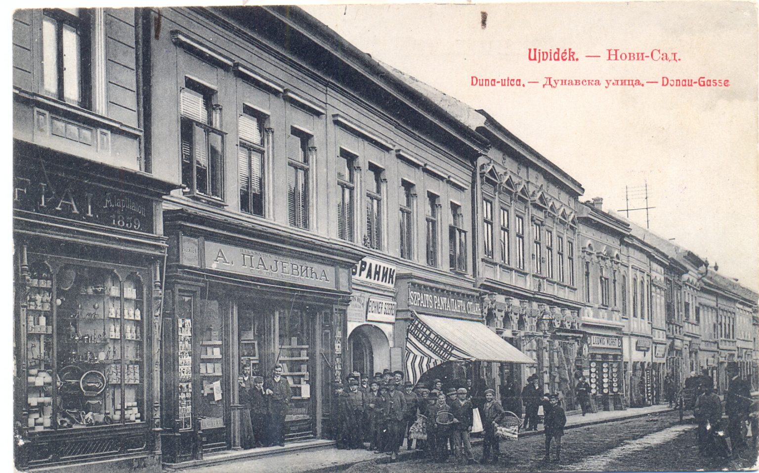 The Oldest Alley of Novi Sad: A Walk Through the Centuries of Dunavska ...