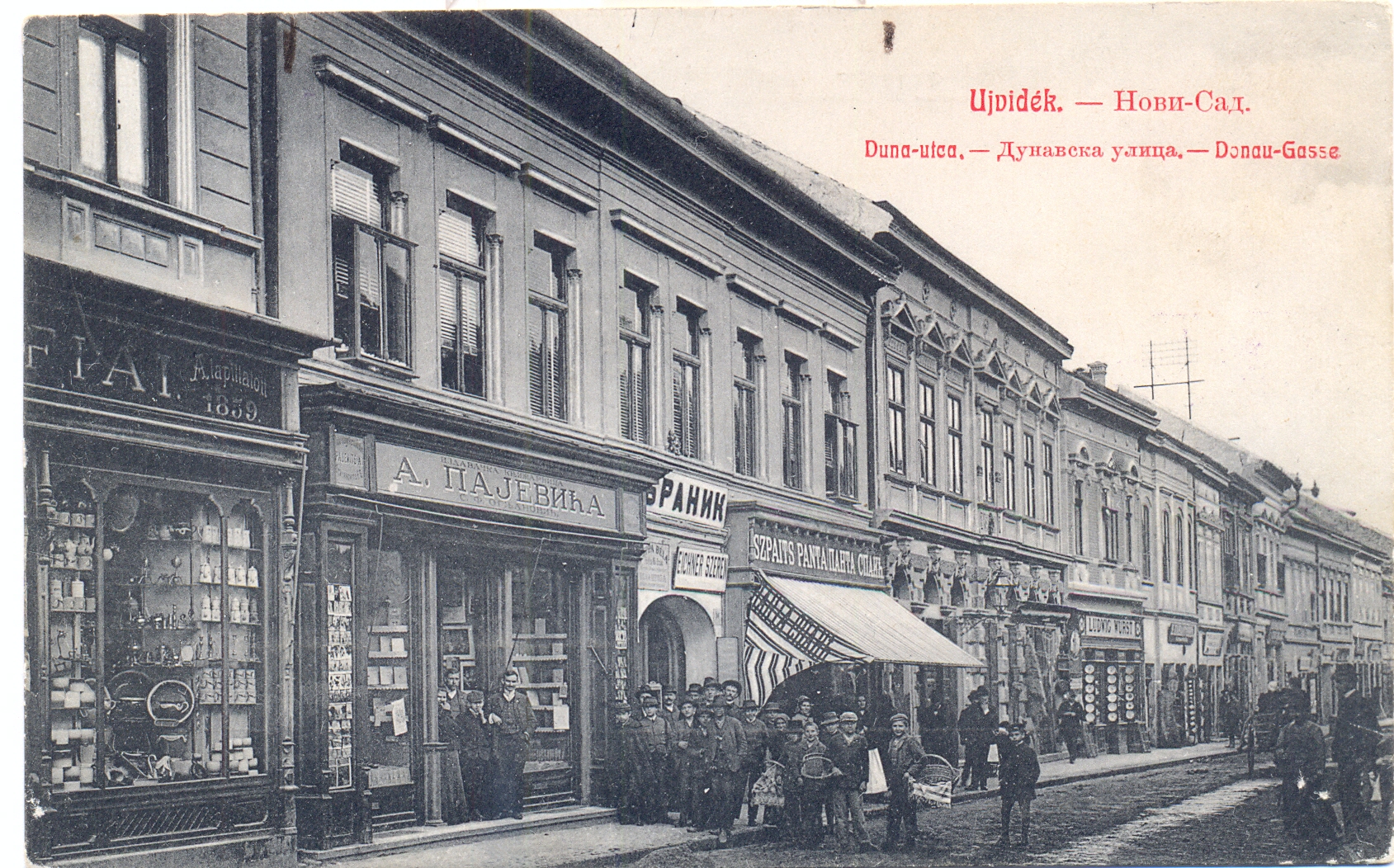 The Oldest Alley of Novi Sad: A Walk Through the Centuries of Dunavska ...