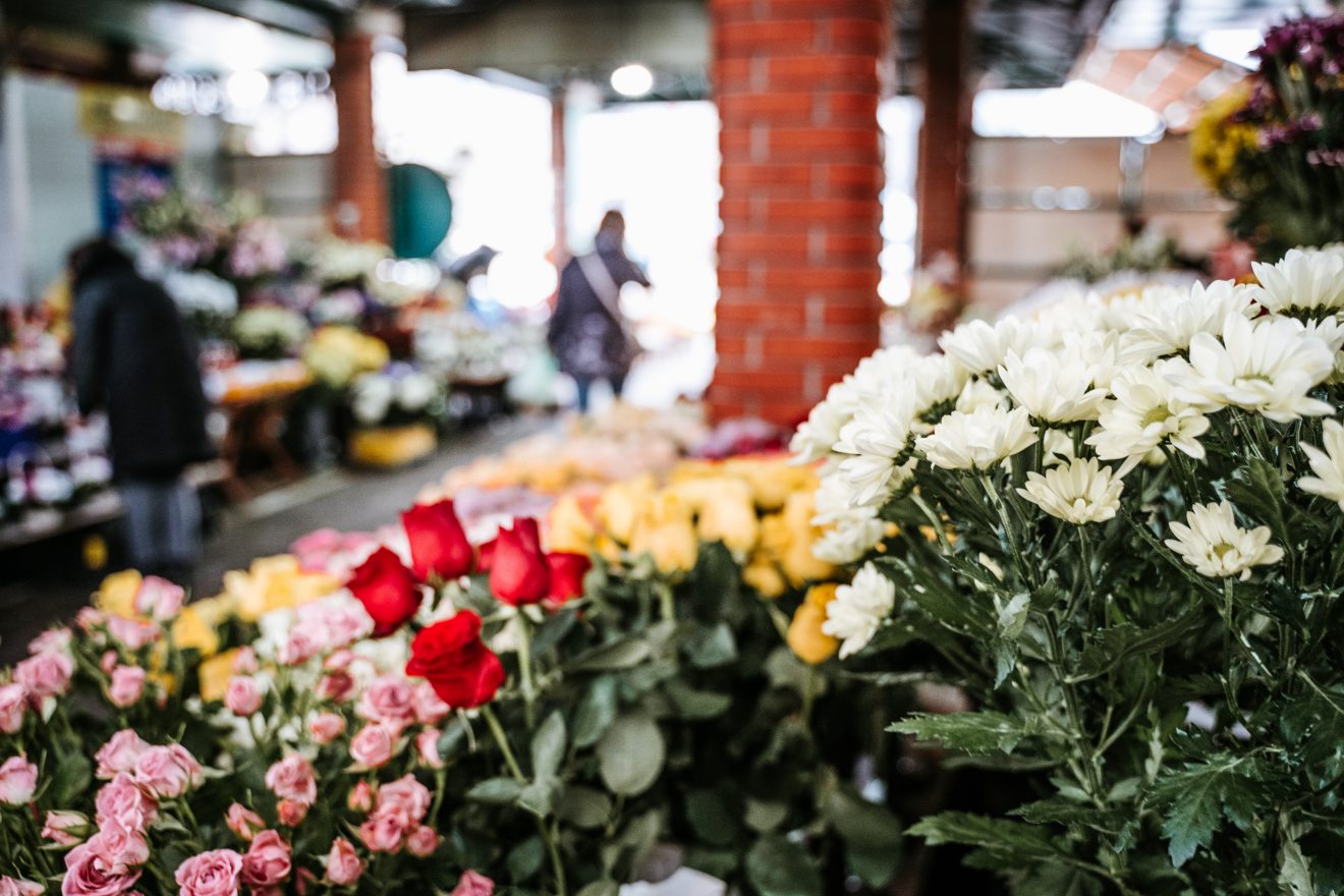 Sve boje novosadskih pijaca - Visit Distrikt Novi Sad
