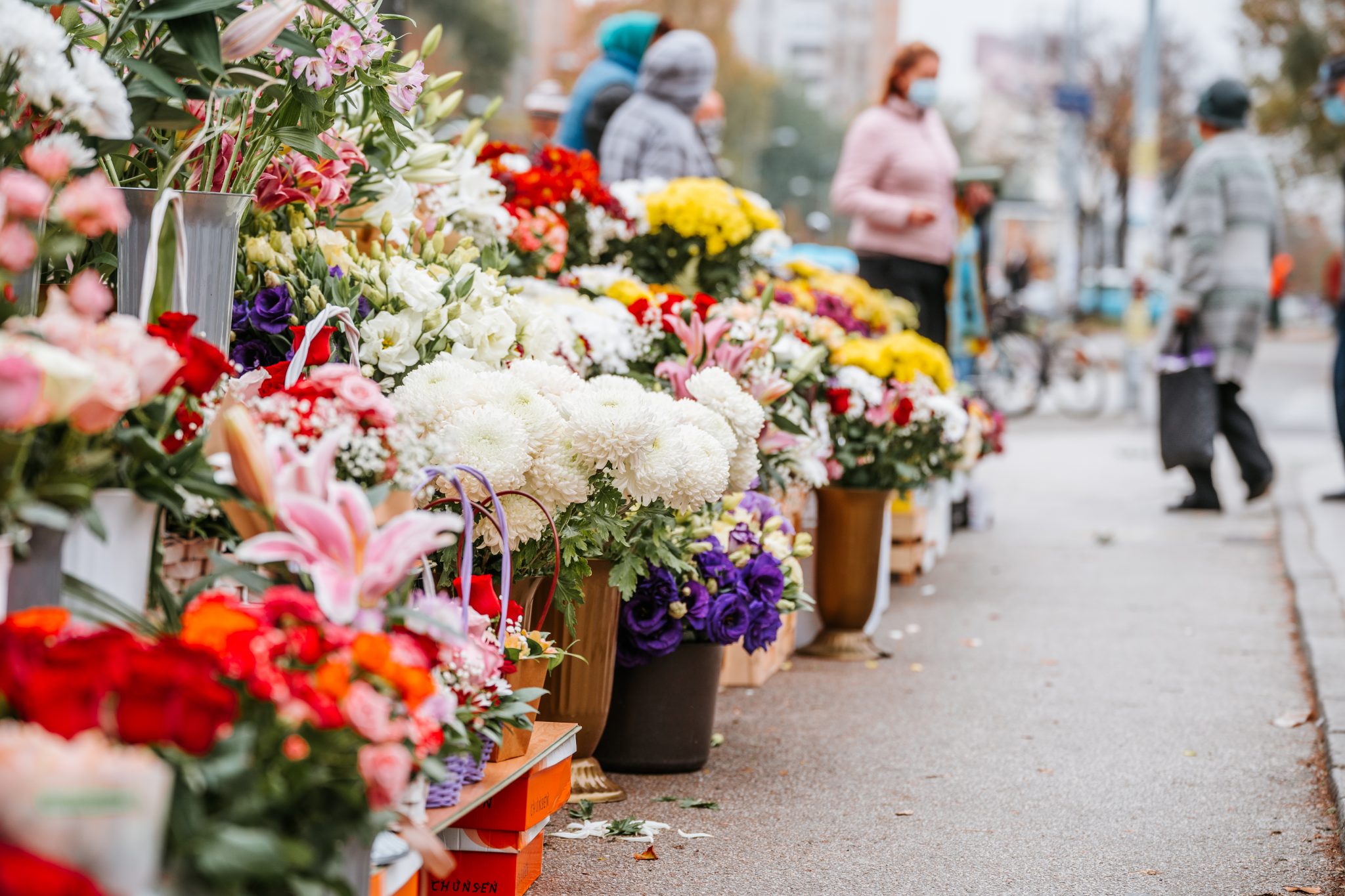 Sve boje novosadskih pijaca - Visit Distrikt Novi Sad