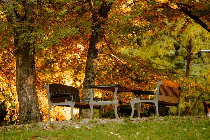 Novosadski parkovi: Mesta gde zajedno žive priroda, istorija, kultura i ...