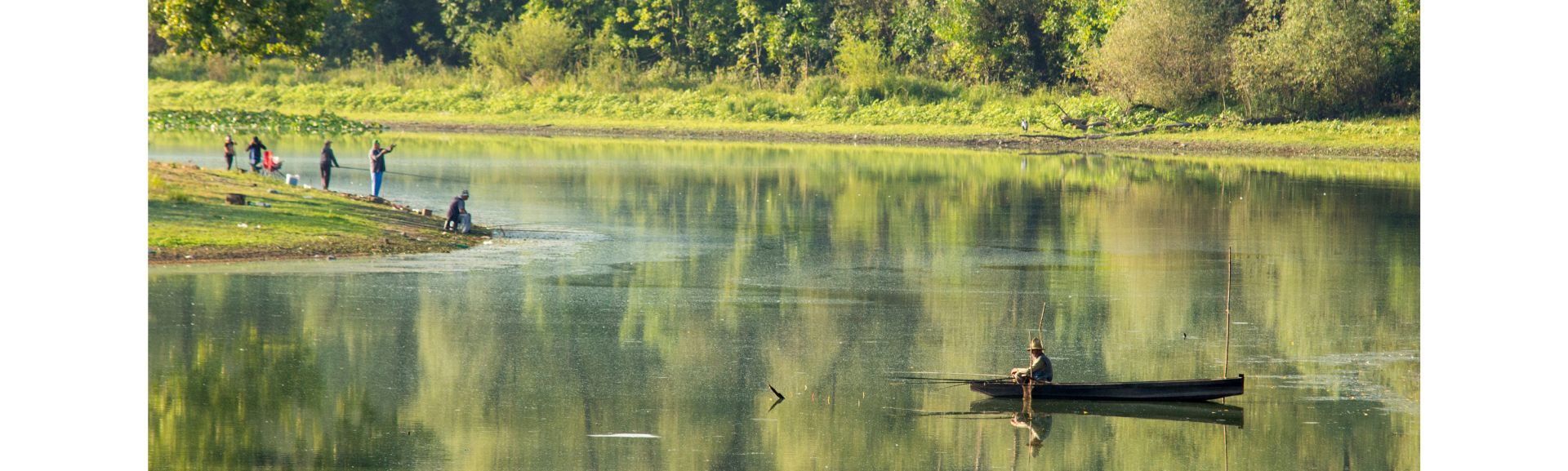 Kovilj: mesto na kraju sveta s najvećim brojem roda - Visit Distrikt ...